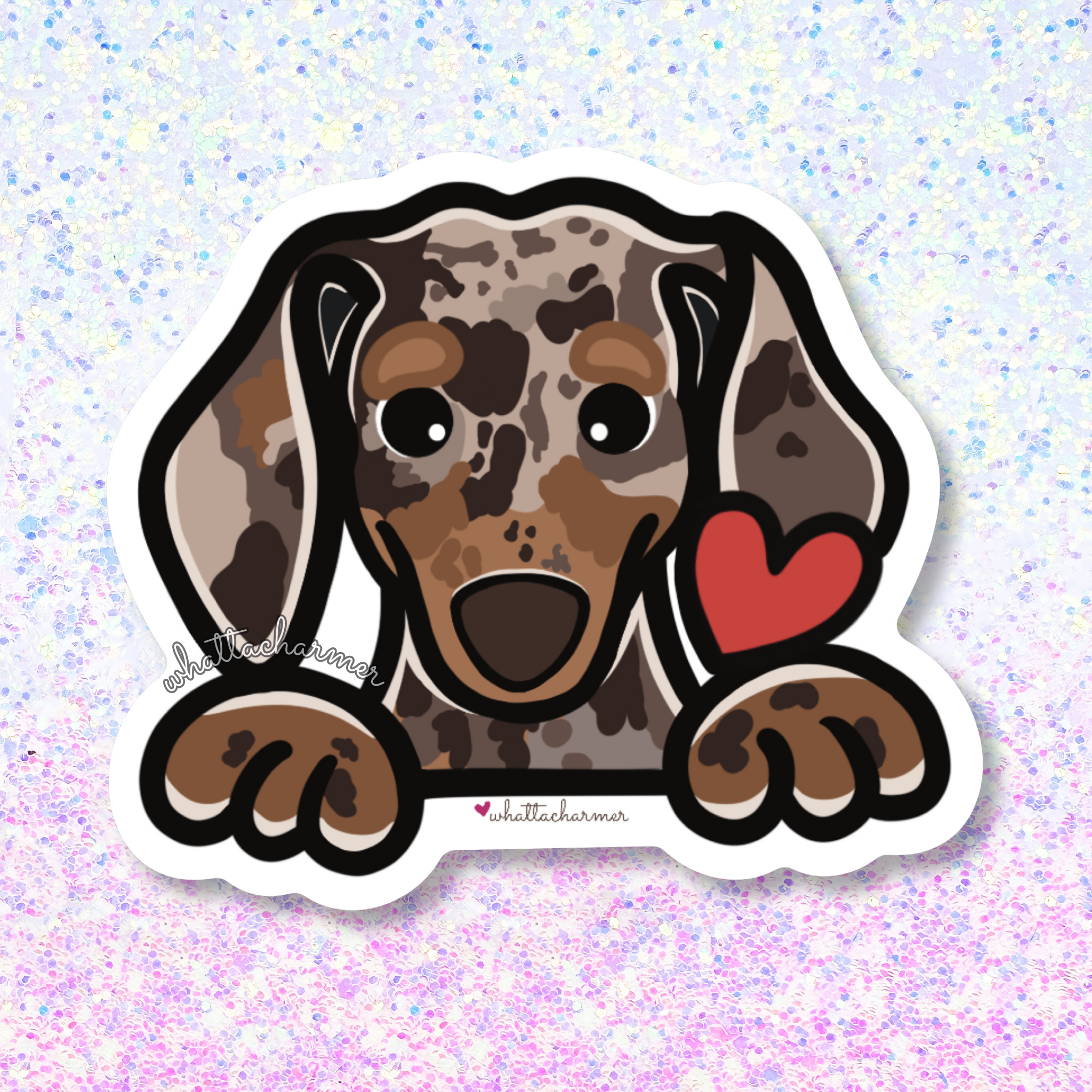 Smooth Chocolate Dapple Dachshund Sticker – WhattaCharmer
